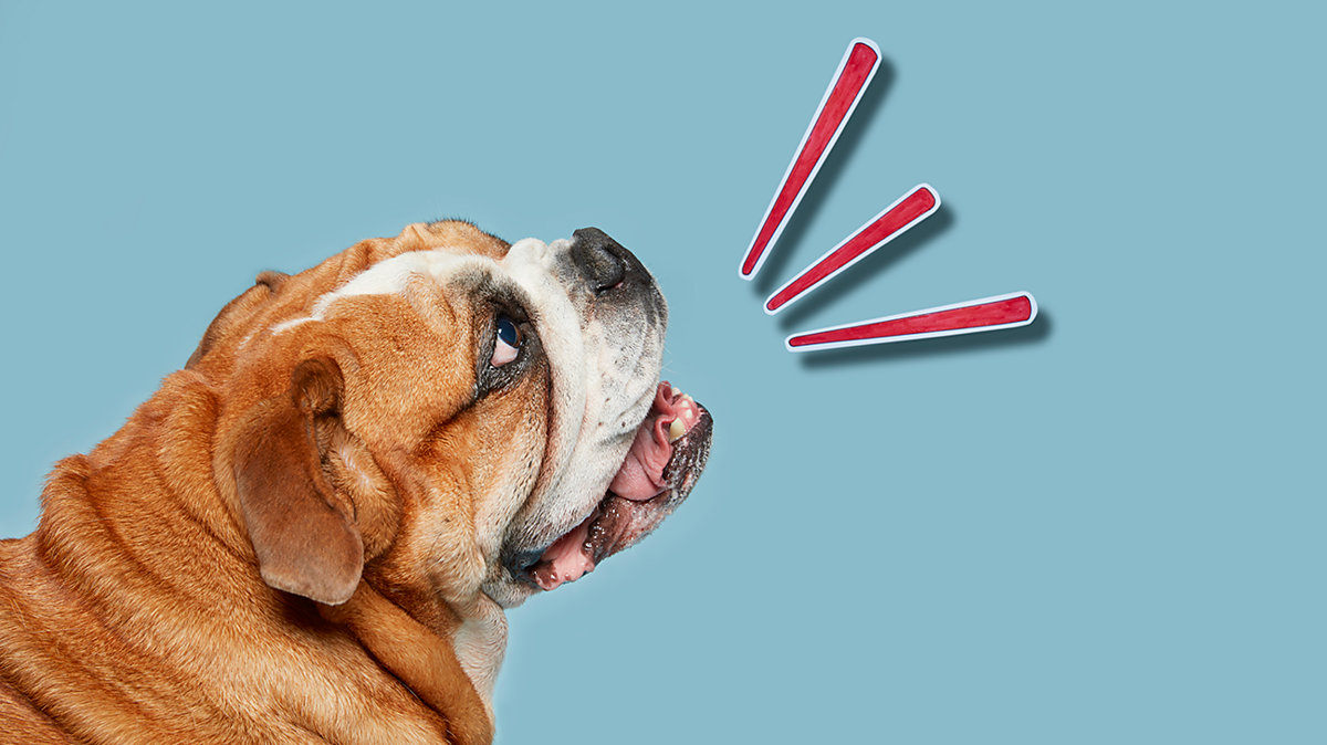 What is it that makes a term sound endearing? Find out which word have ...