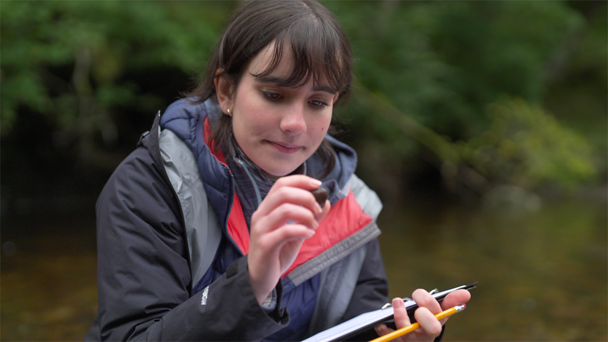 River fieldwork - Fieldwork: Video playlist - BBC Bitesize