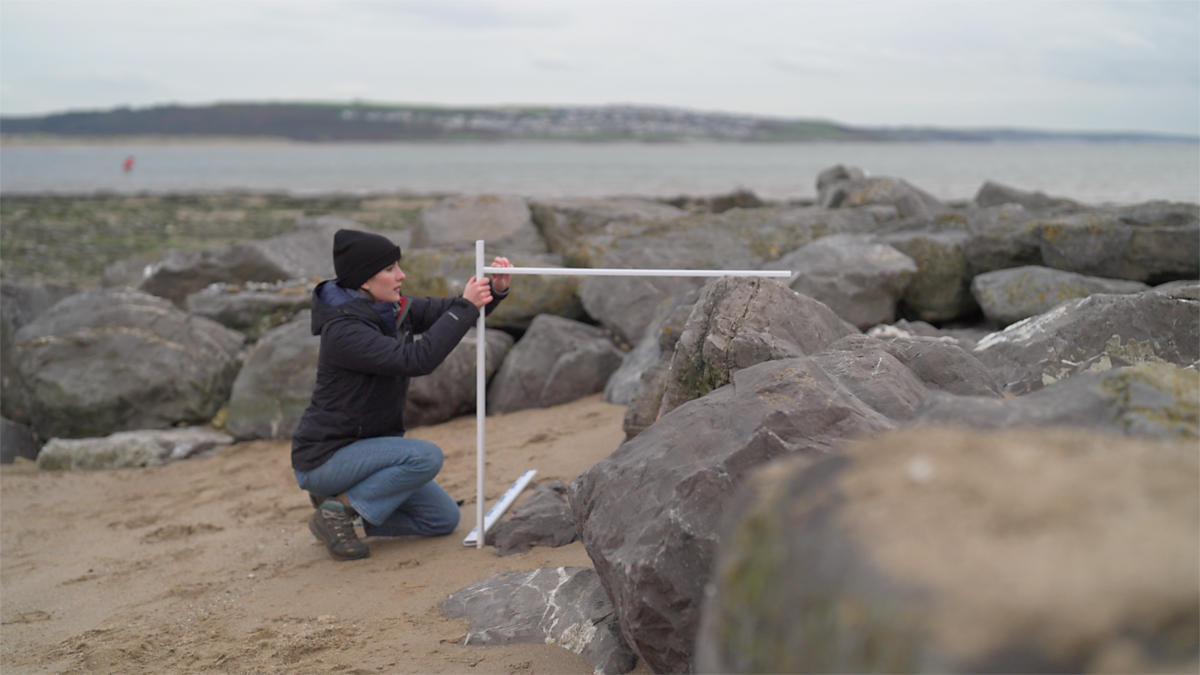Data Collection And Sampling Fieldwork Video Playlist Bbc Bitesize