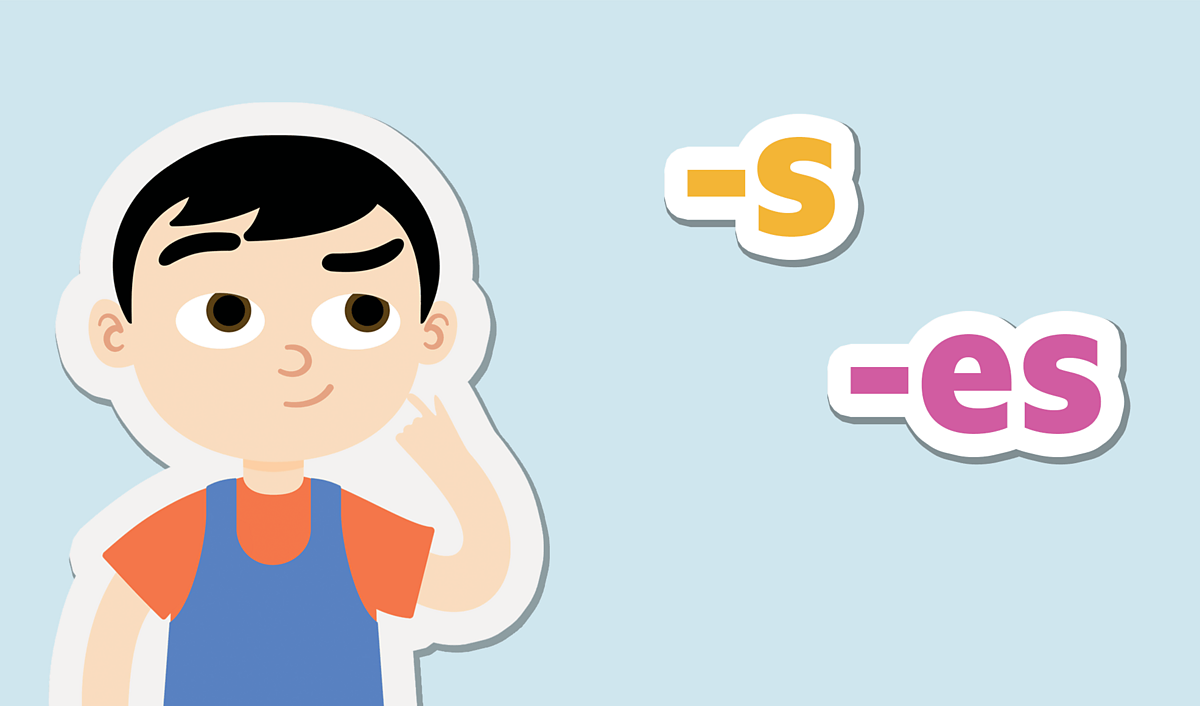 Adding -s and -es - English - Learning with BBC Bitesize