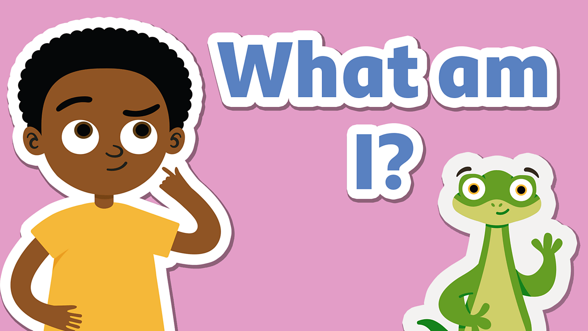 What is a riddle? - BBC Bitesize