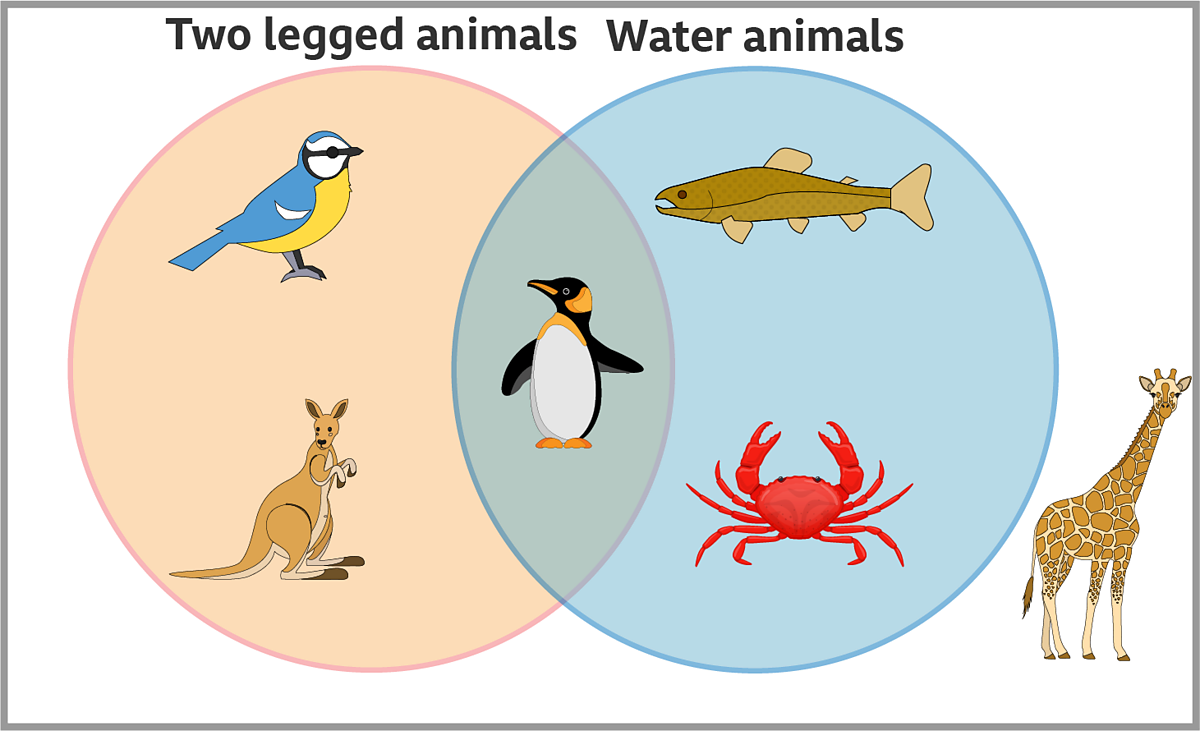 Module 1 (M1) - Handling data - Venn diagrams - BBC Bitesize