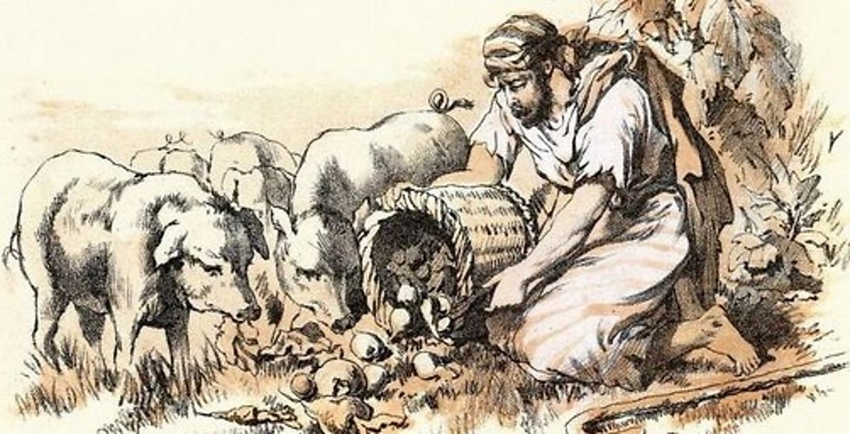 KS3 Religious Education Northern Ireland - The Prodigal Son - BBC Bitesize