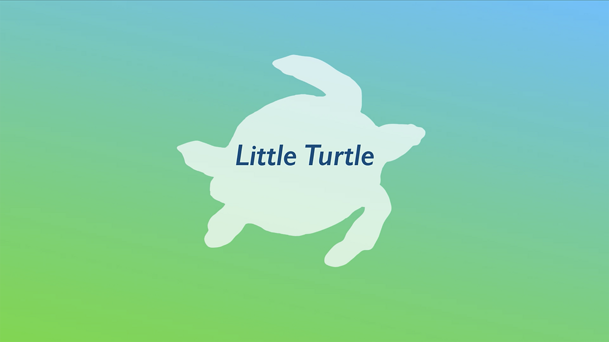 Join in with Music - Little Turtle - BBC Teach