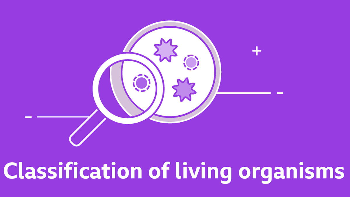 GCSE biology questions - classification of living organisms GCSE ...
