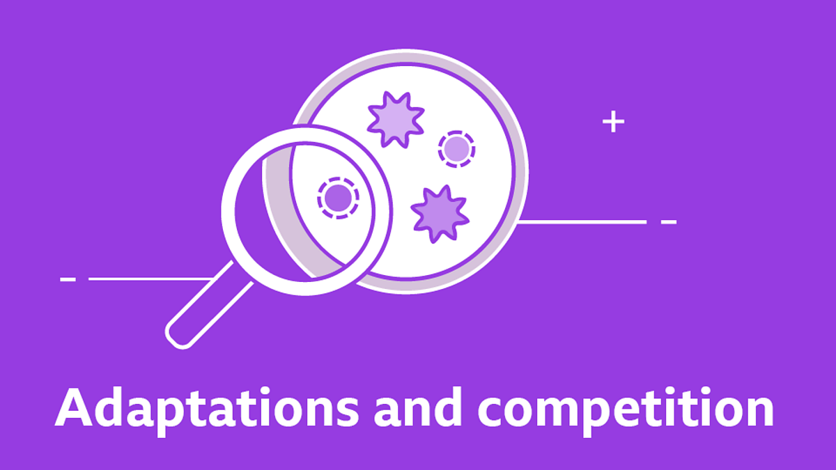GCSE biology questions - adaptations, interdependence and competition ...