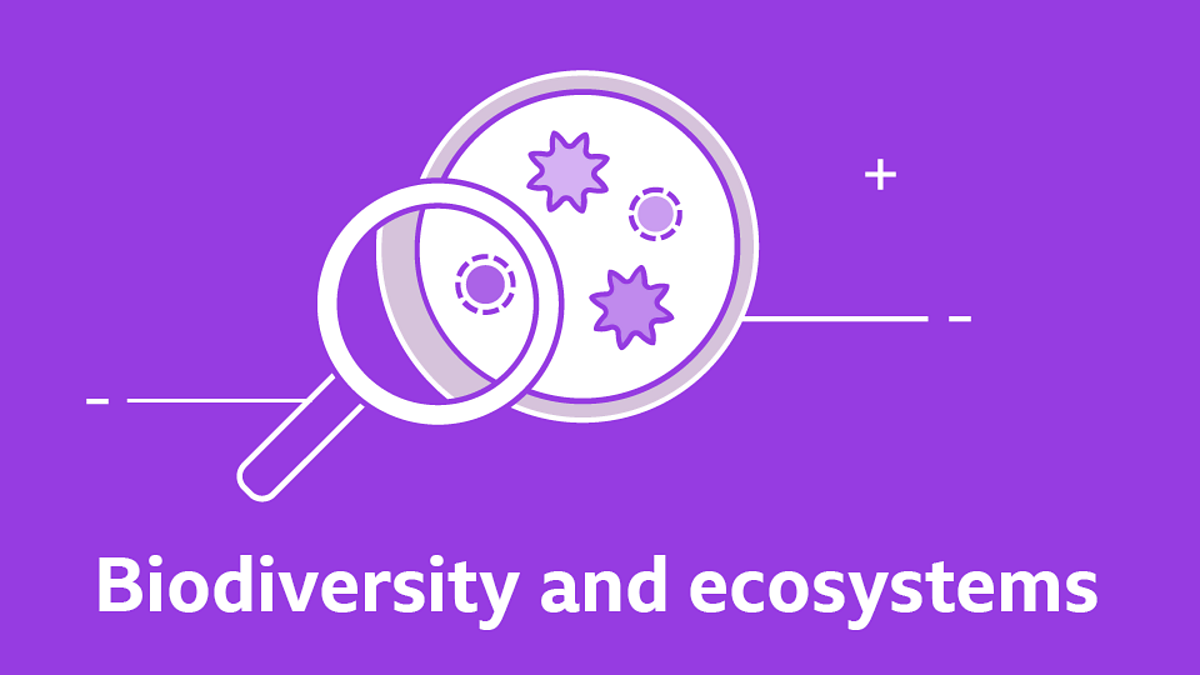 GCSE biology questions - biodiversity and the effect of human ...