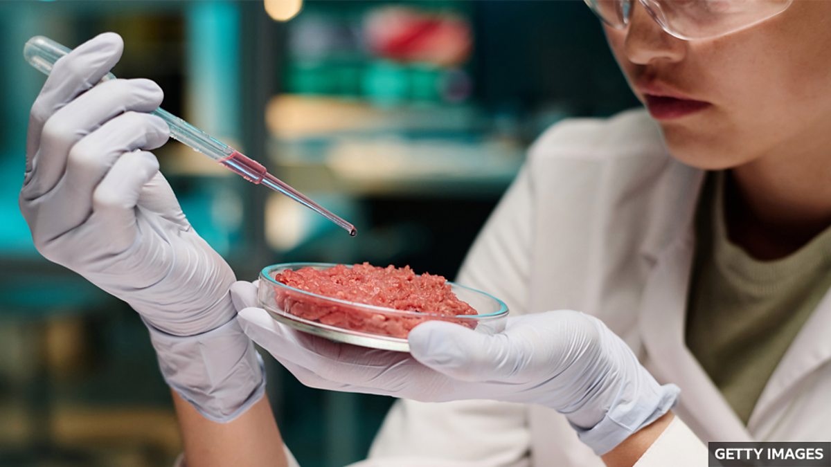 BBC Learning English - 随身英语 / Why is lab-grown meat expensive? 为什么实验室培育 ...
