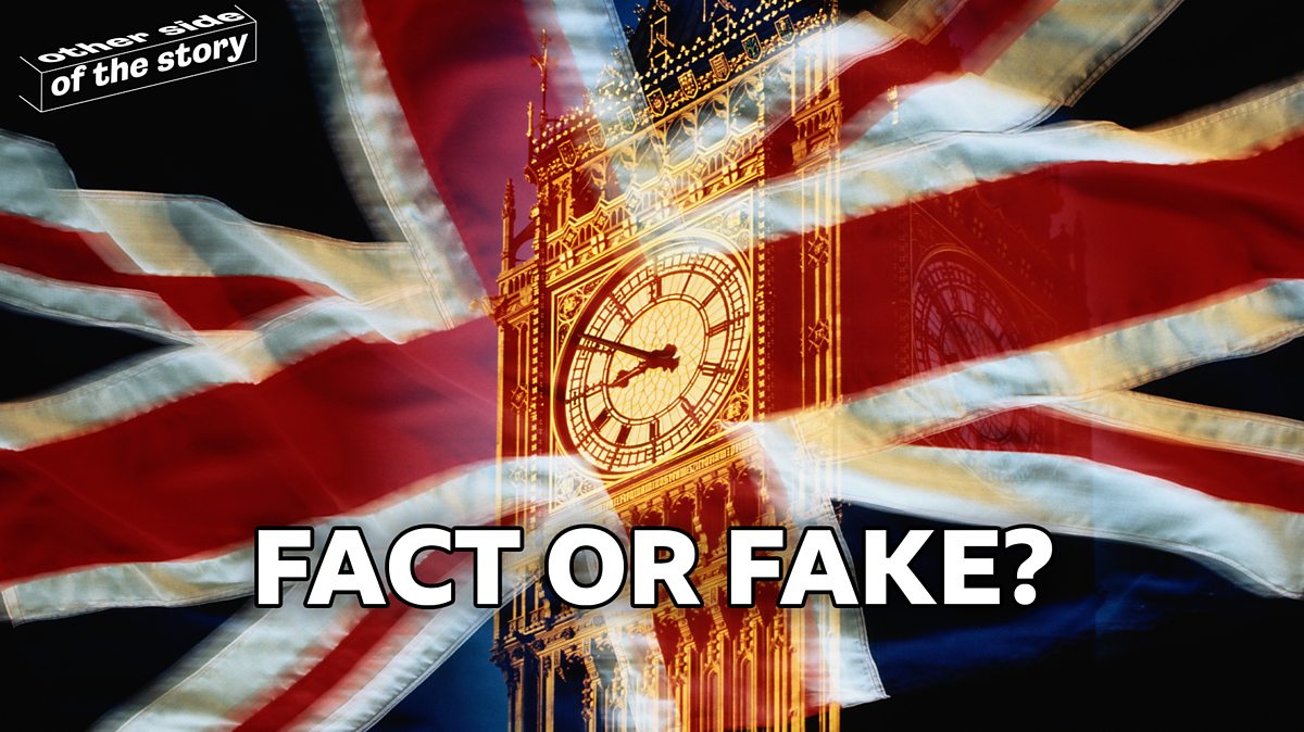 General election fact or fake quiz - BBC Bitesize