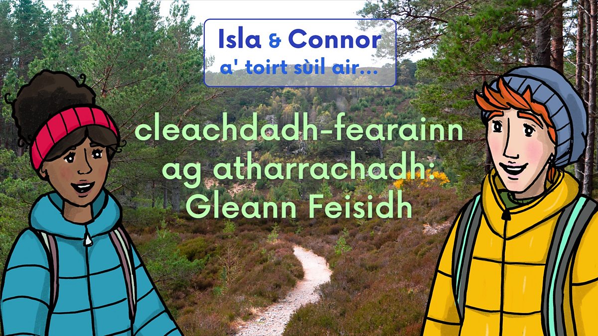 Cruinn-eòlas – Cleachdadh-fearainn ag atharrachadh – Gleann Feisidh- C5 ...