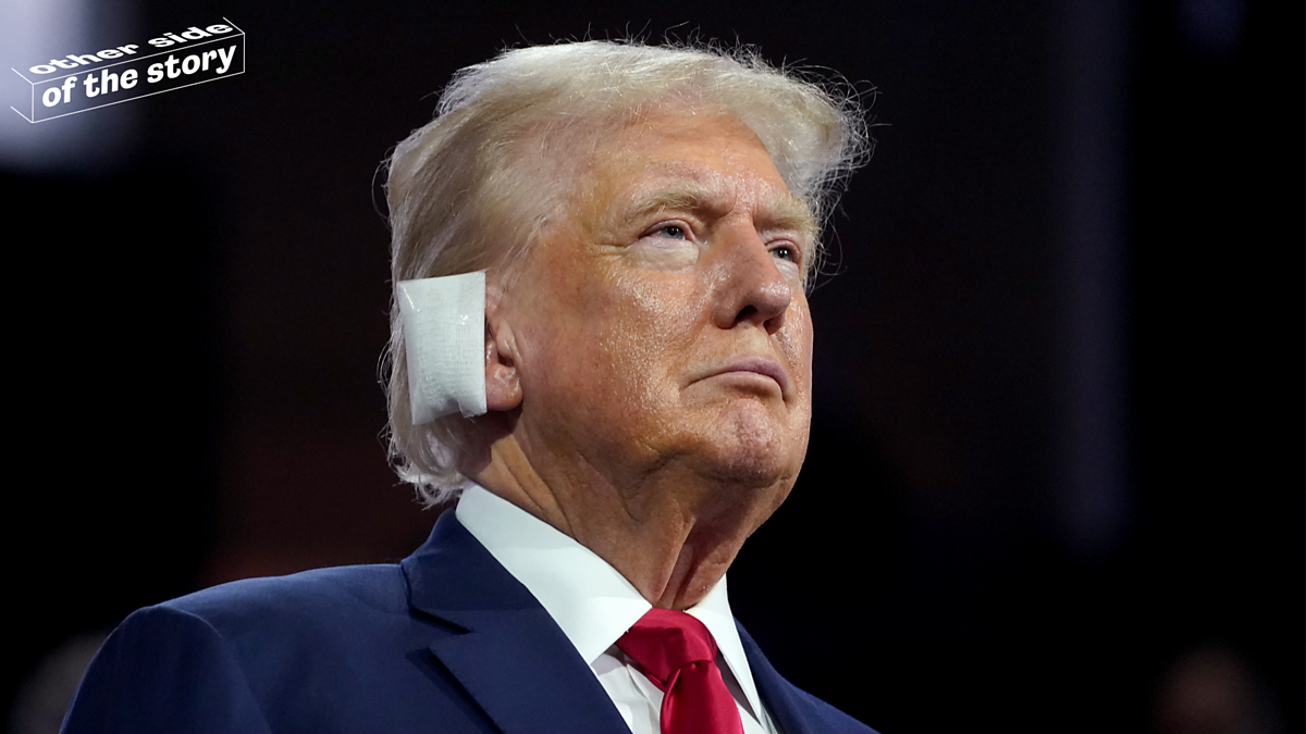 Donald Trump shooting: fake news, manipulation and misinformation on ...