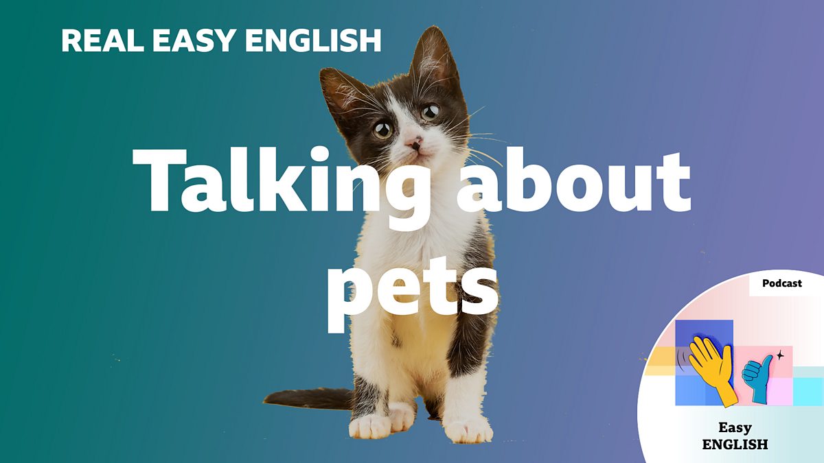 BBC Learning English - Real Easy English / Talking about pets