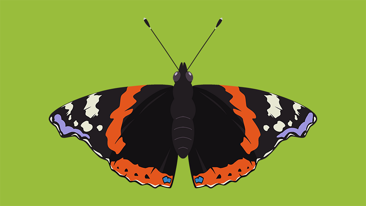 How do animals grow? - KS1 Science curriculum - BBC Bitesize