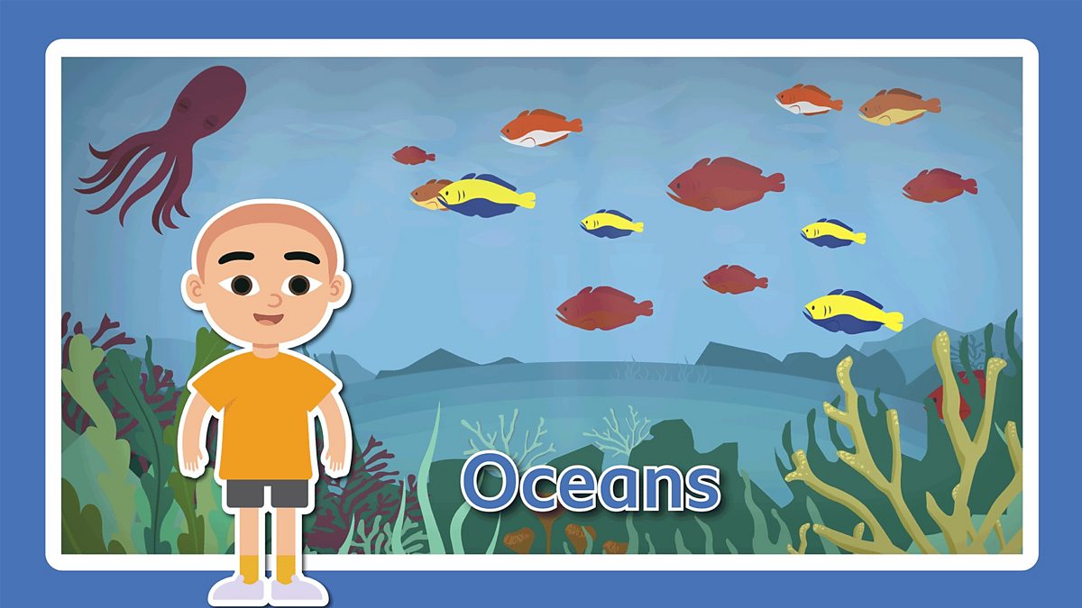 Oceans - KS1 - BBC Bitesize