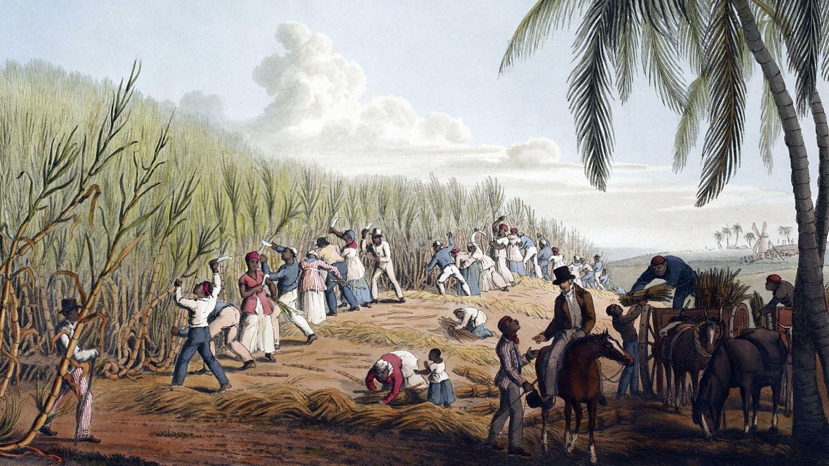 How were enslaved Africans treated in the Caribbean? - BBC Bitesize