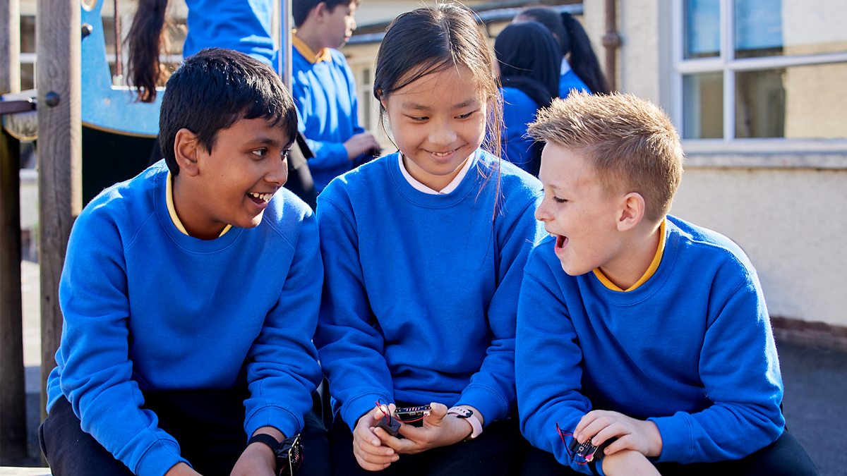 Quiz: Get to know the results of the playground survey - BBC Teach