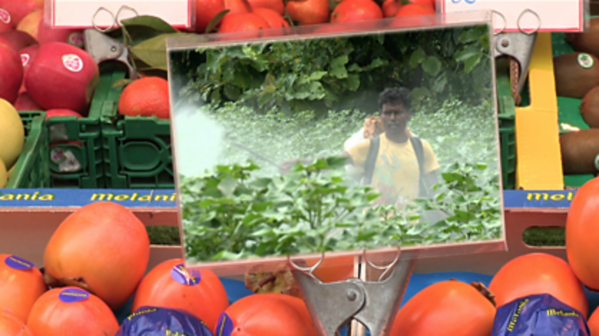 Food security - a global concern - Protecting the planet: Video ...