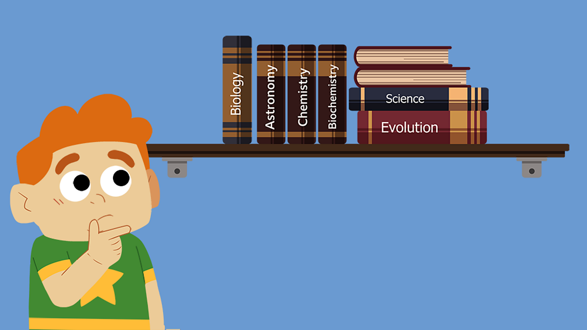 Why do scientists ask questions? – KS1 Science curriculum - BBC Bitesize