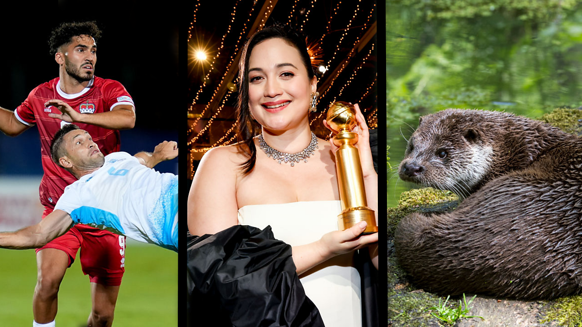 Fives uplifting news stories from 2024 - BBC Bitesize