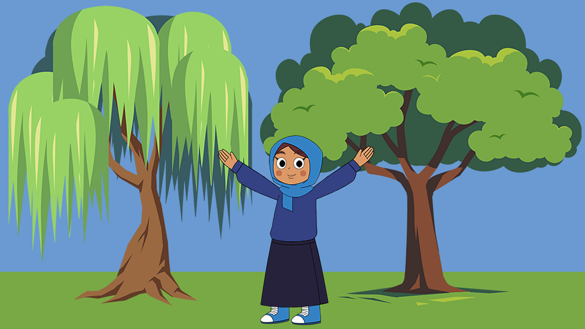 The structure of flowering plants - KS2 Science curriculum - BBC Bitesize