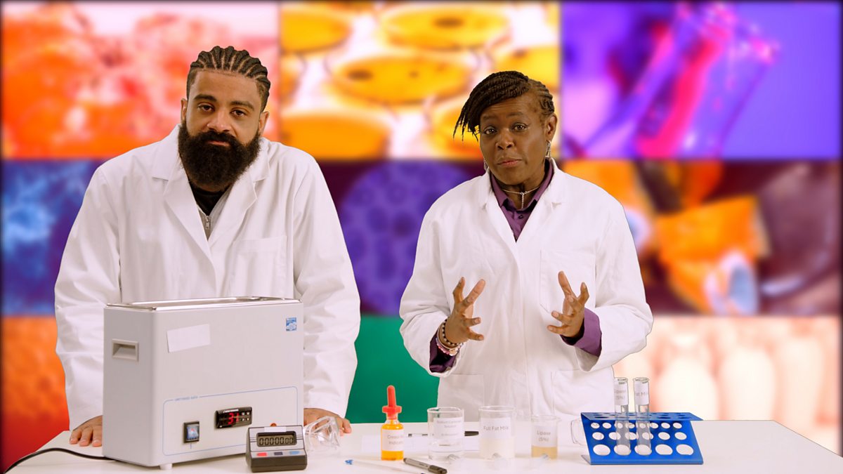 How to make copper sulfate crystals - Chemistry practicals: Video ...