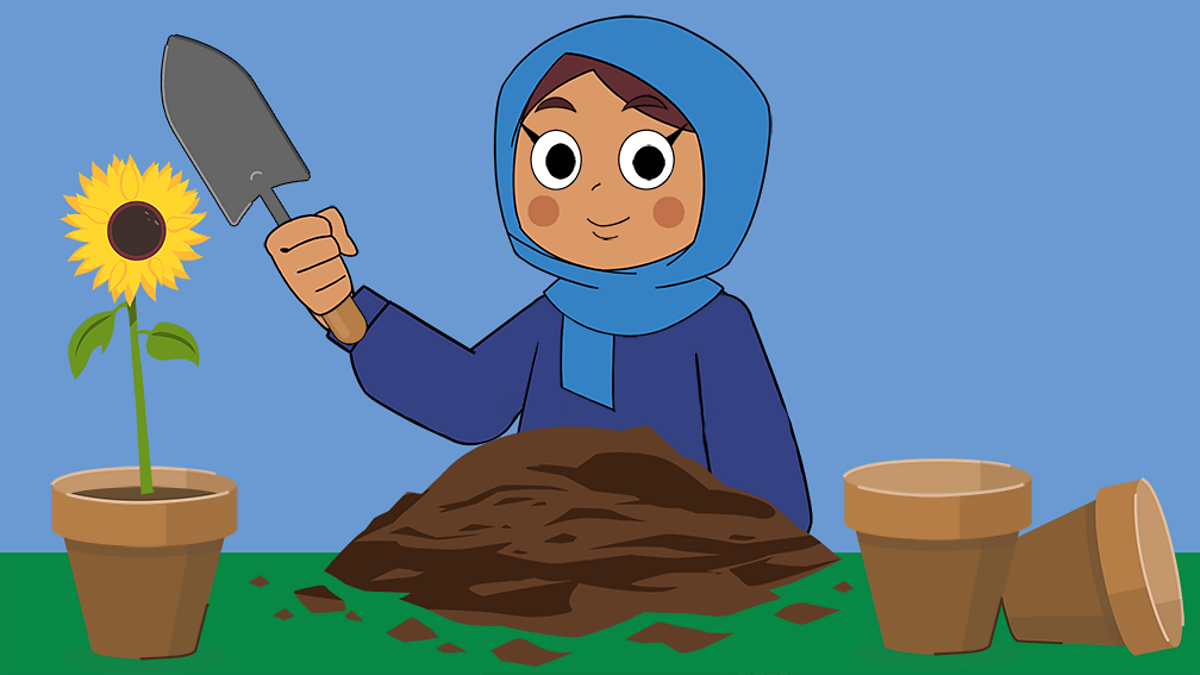 What is soil made from? – KS2 Science curriculum - BBC Bitesize