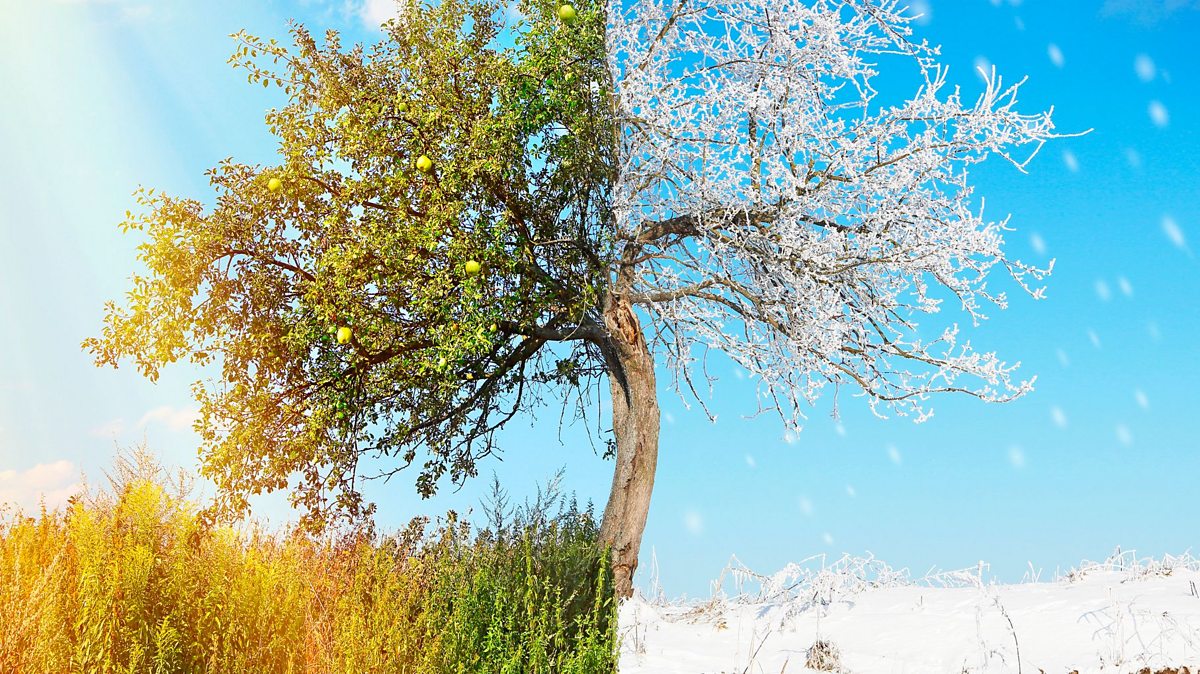 How do seasons affect the psyche? - BBC Bitesize