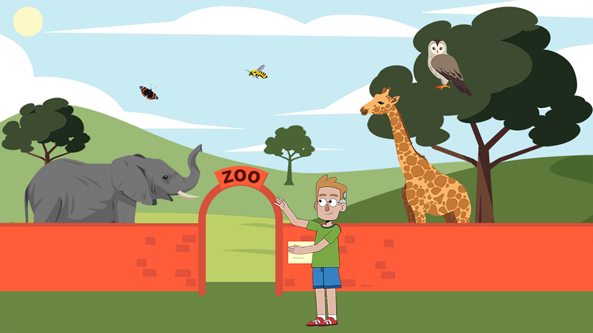 What is classification? – KS2 Science curriculum - BBC Bitesize