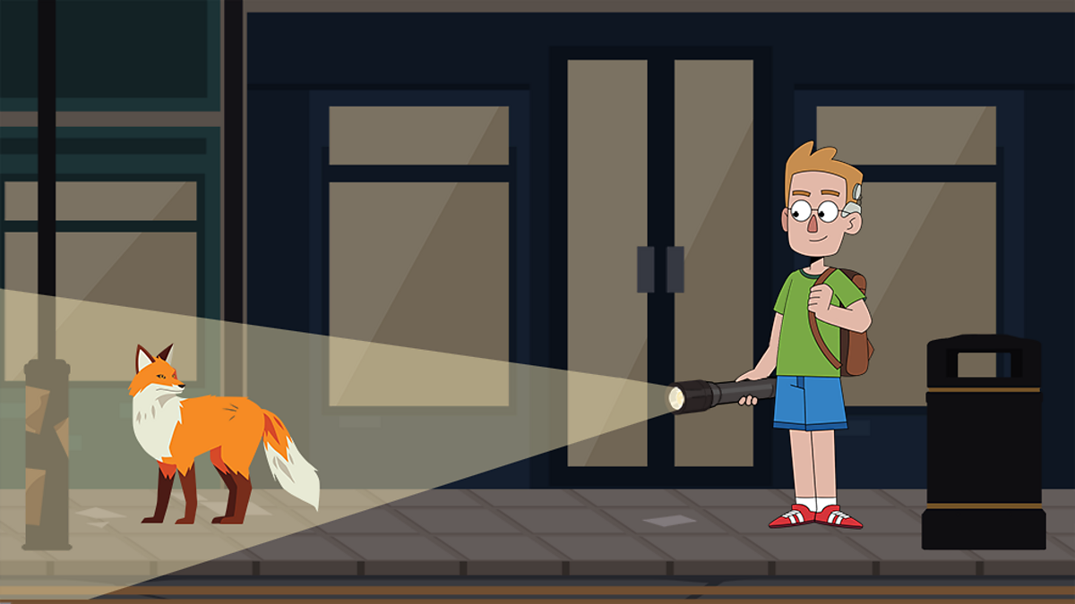 How does the eye detect light? – KS2 Science curriculum - BBC Bitesize