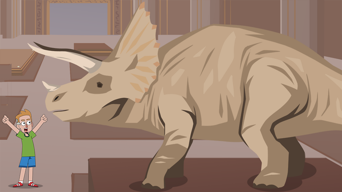 What can fossils tell us? – KS2 Science curriculum - BBC Bitesize