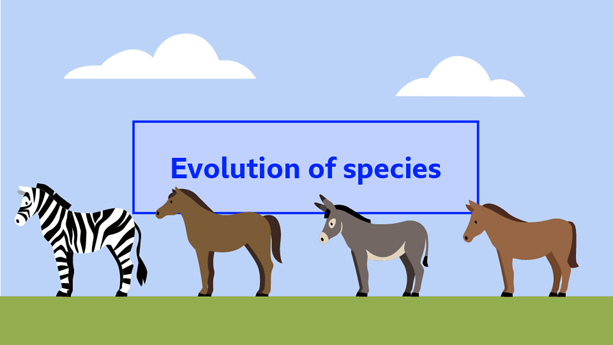 National 5 Biology questions - Evolution of species - National 5 ...