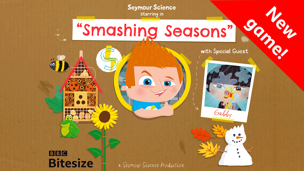Seymour Science: Smashing Seasons - KS1 Science game - BBC Bitesize