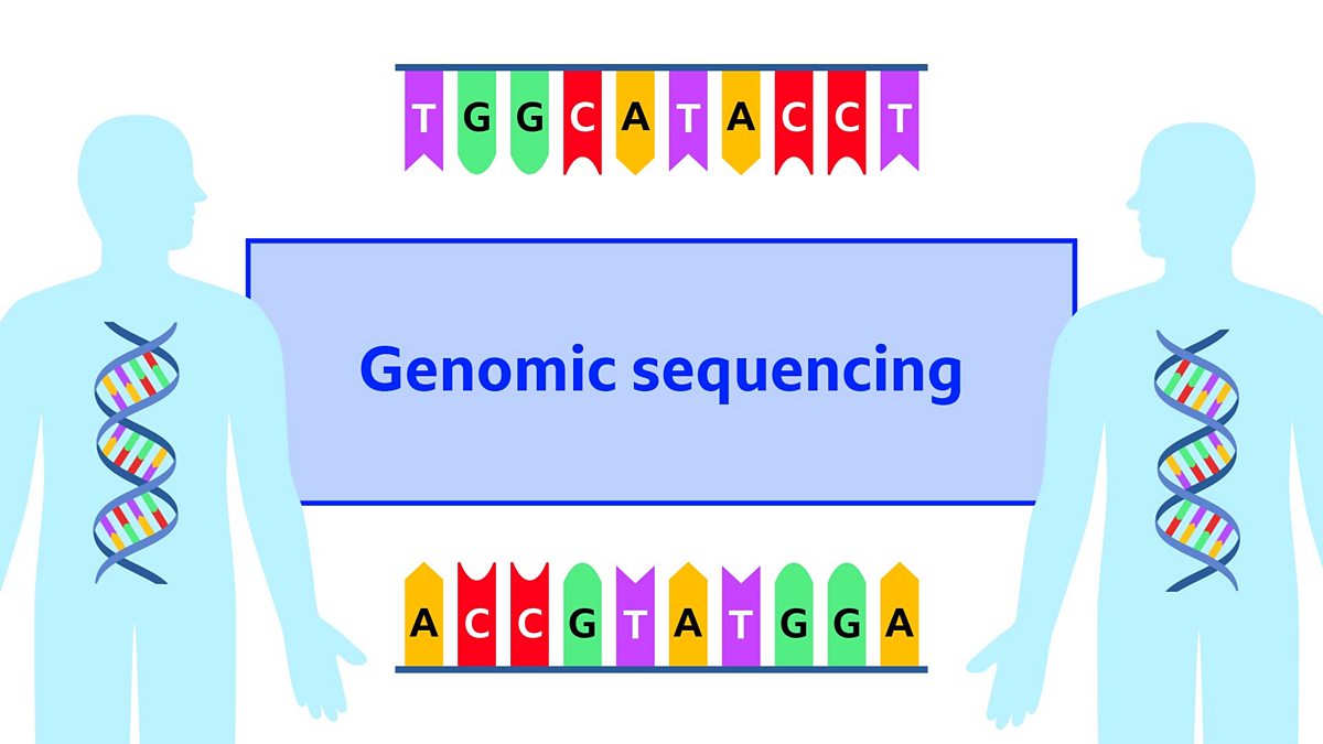 Higher Biology questions - Genomic sequencing - Higher biology revision ...