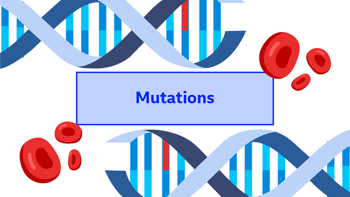 Higher Biology questions - Mutations - Higher Human Biology revision ...
