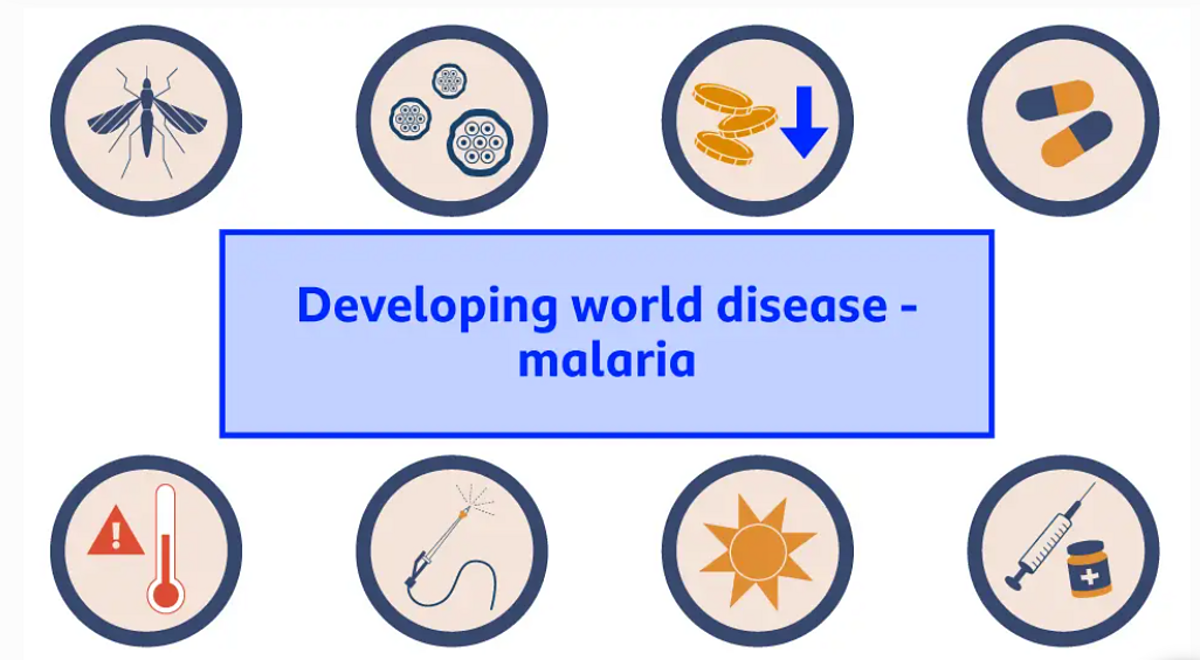 National 5 Geography questions - Malaria National 5 geography revision ...