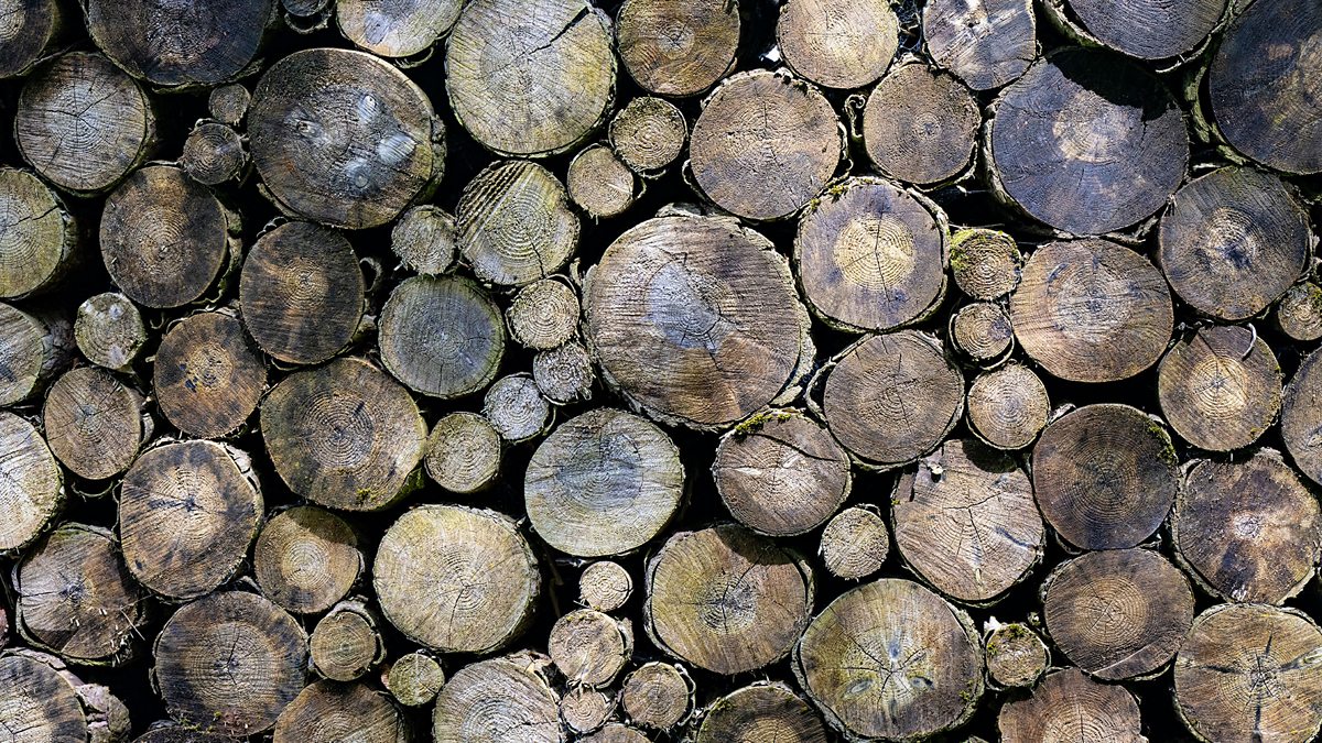 Circle theorems: The alternate segment theorem, tangents and chords ...