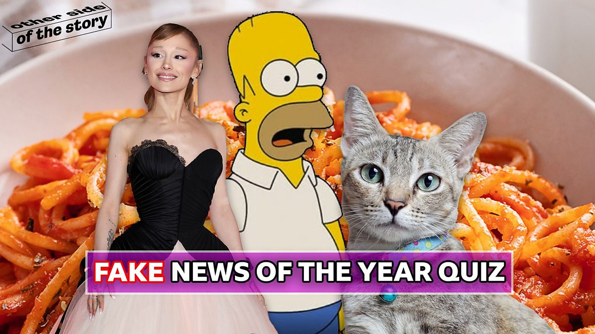 The Fake News Of The Year Quiz 2025 - BBC Bitesize