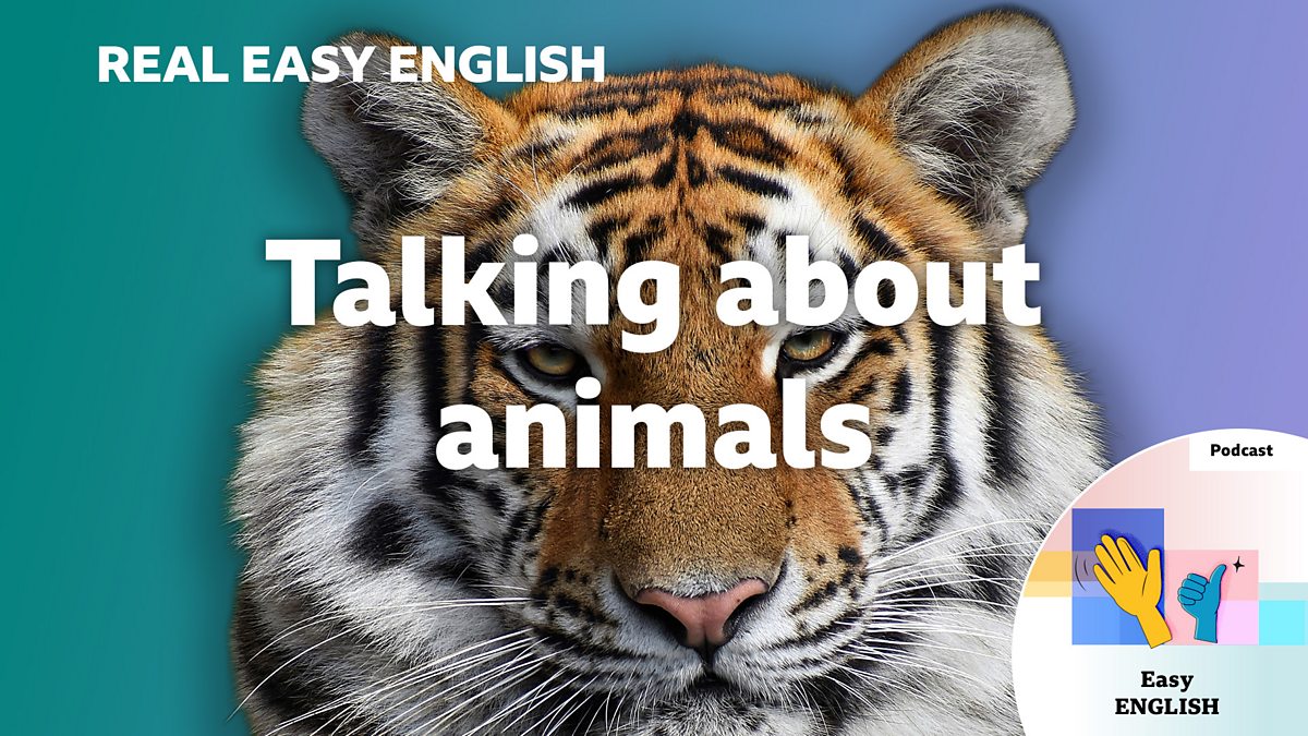 BBC Learning English - Real Easy English / Talking about animals