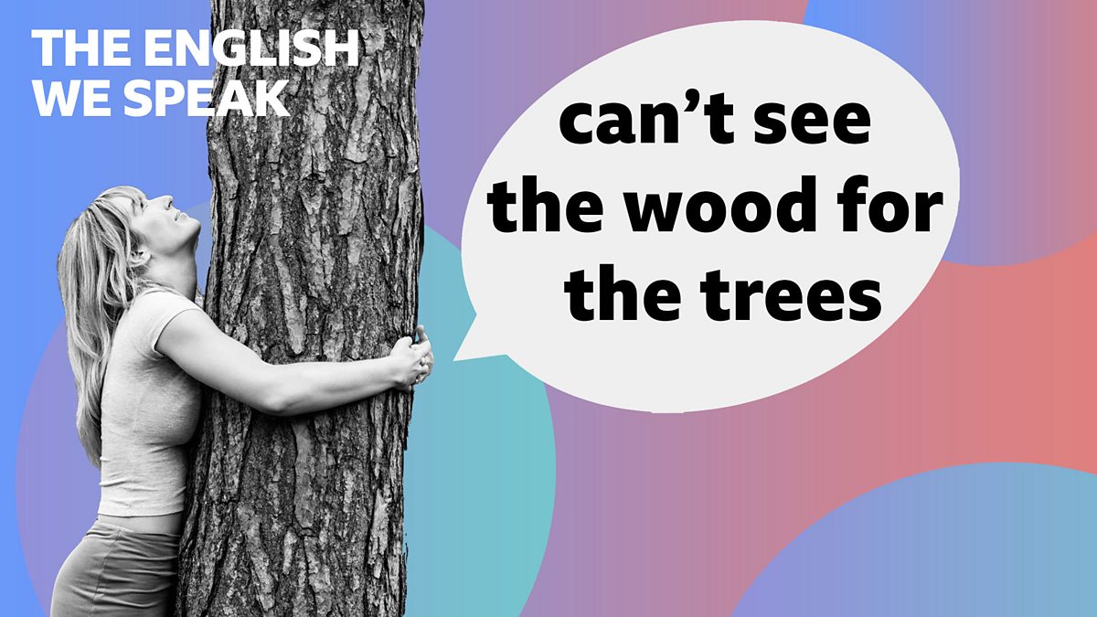 BBC Learning English - The English We Speak / Can't see the wood for ...