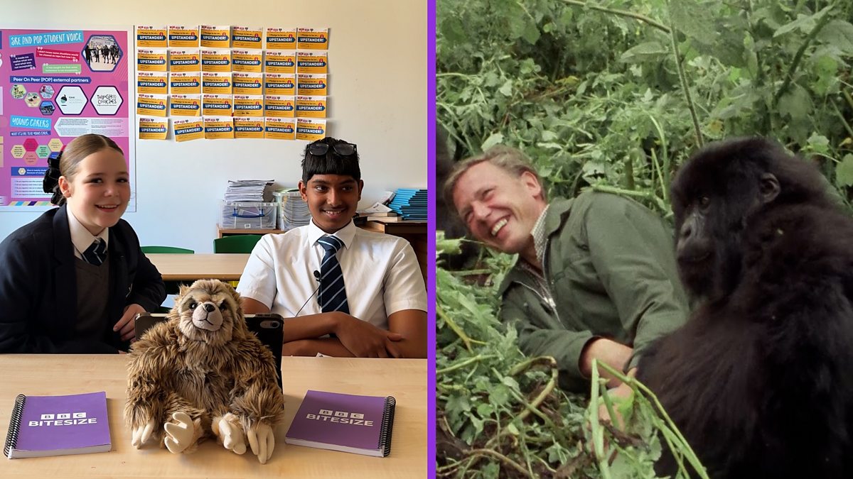 Teens react to iconic David Attenborough moments - BBC Bitesize
