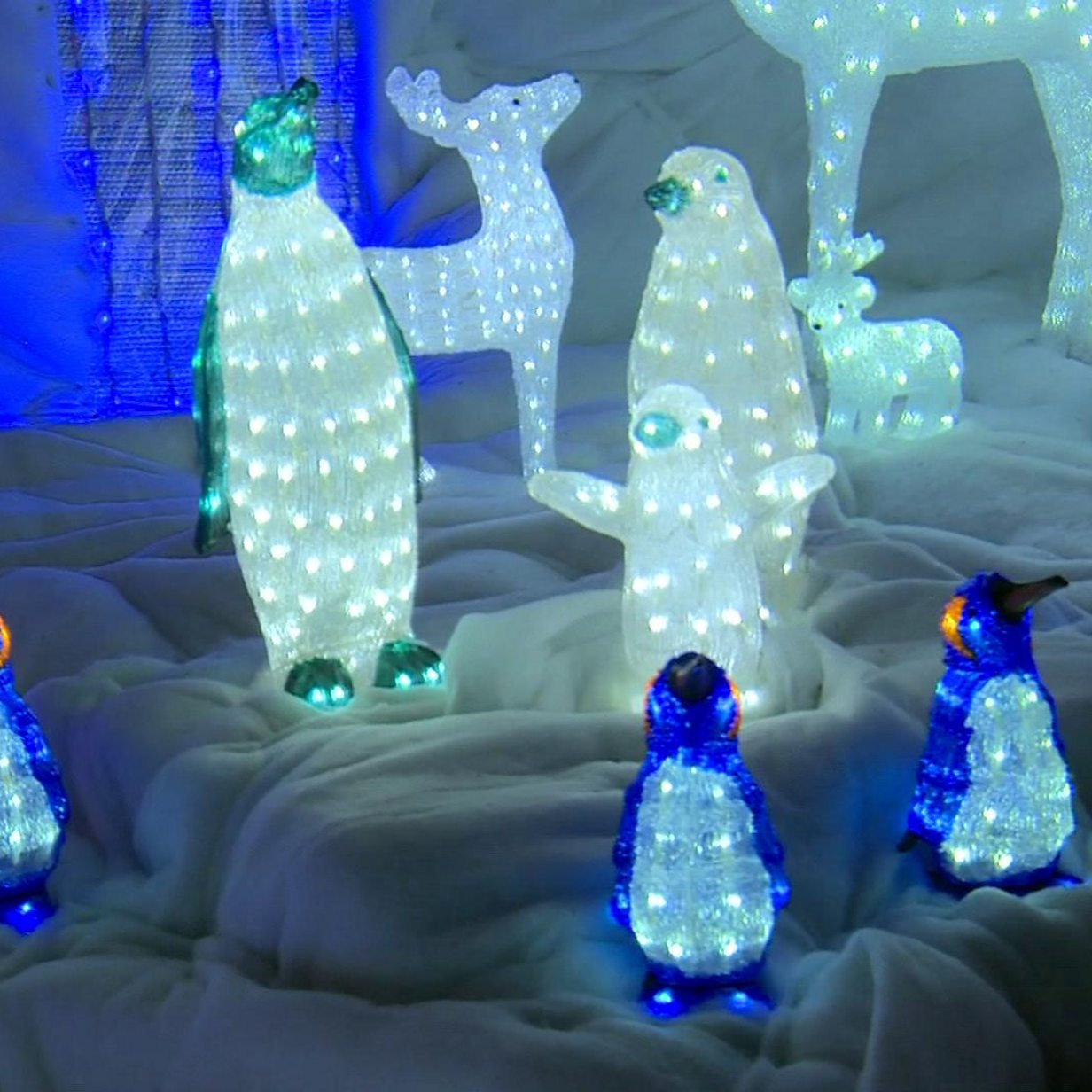 Winter Wonderland Bbc