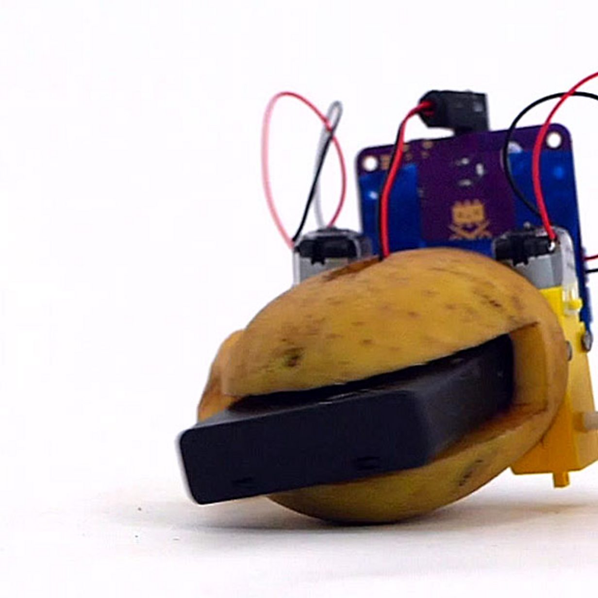 Intervista Ai Potato Killer Cut Up Publishing Questo Fine Settimana