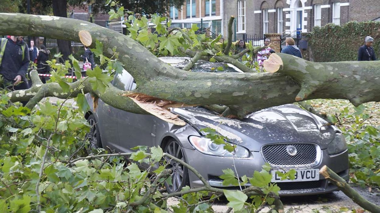 BBC Learning English - Course: lower intermediate / Unit 16 / Session 3 ...