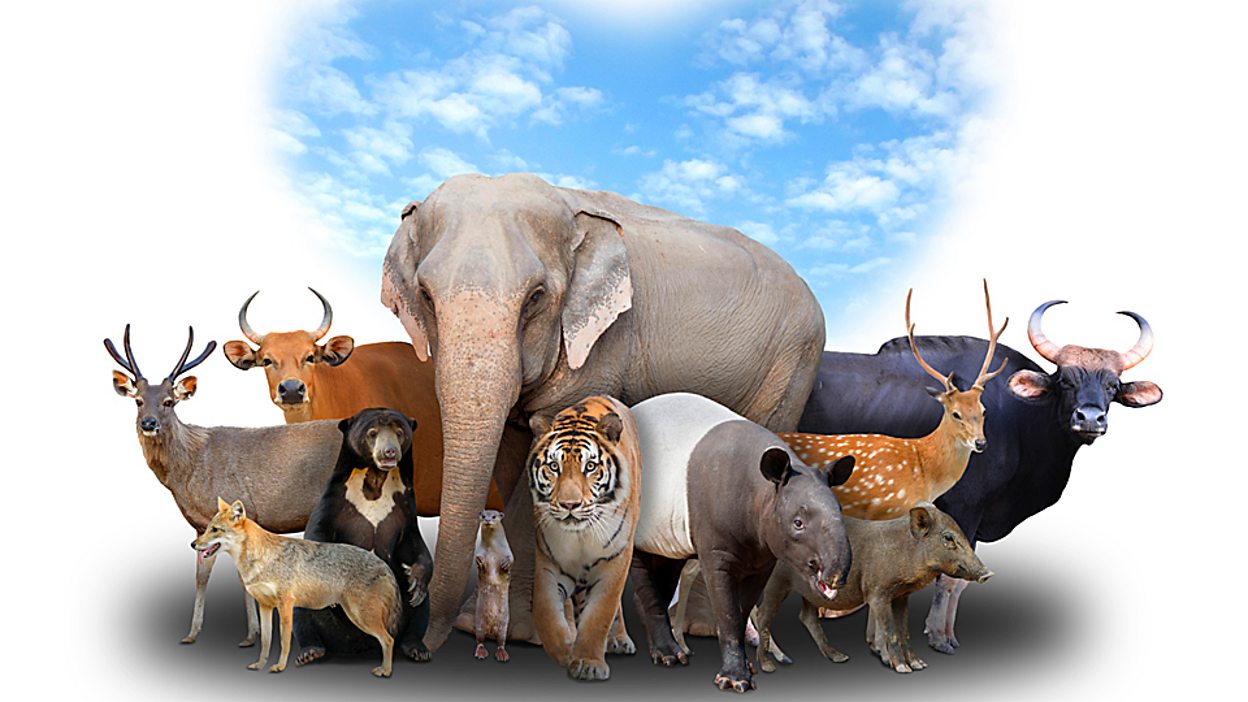 BBC Learning English - Course: intermediate / Unit 17 / Session 3 ...