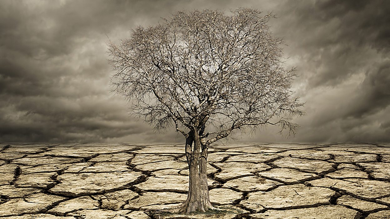 BBC Learning English - Course: News Review / Unit 1