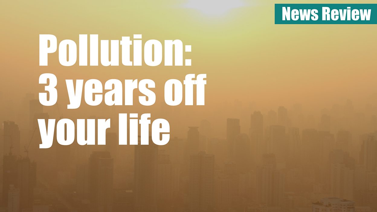 BBC Learning English - Course: News Review / Unit 13