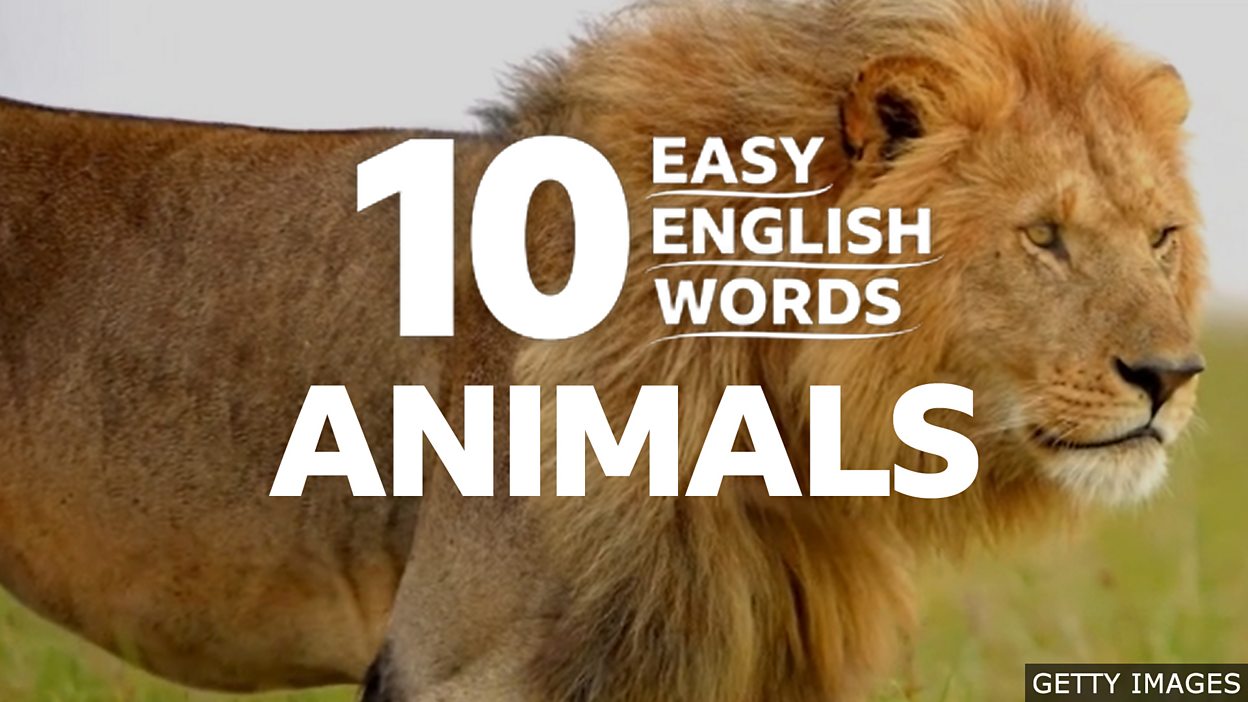 BBC Learning English - 10 Easy English Words
