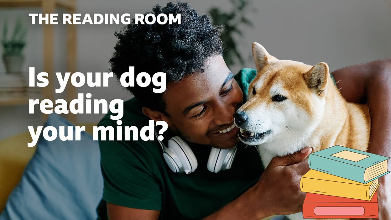 BBC Learning English - The Reading Room / Is your dog reading your mind?