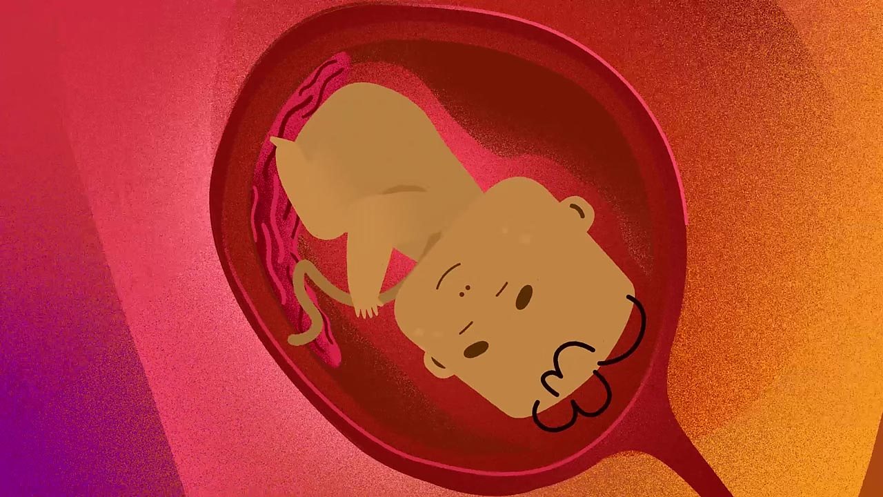 Why Your Touch Is Great For Your Baby s Development BBC Tiny Happy People why-your-touch-is-great-for-your-baby-s-development-bbc-tiny-happy-people