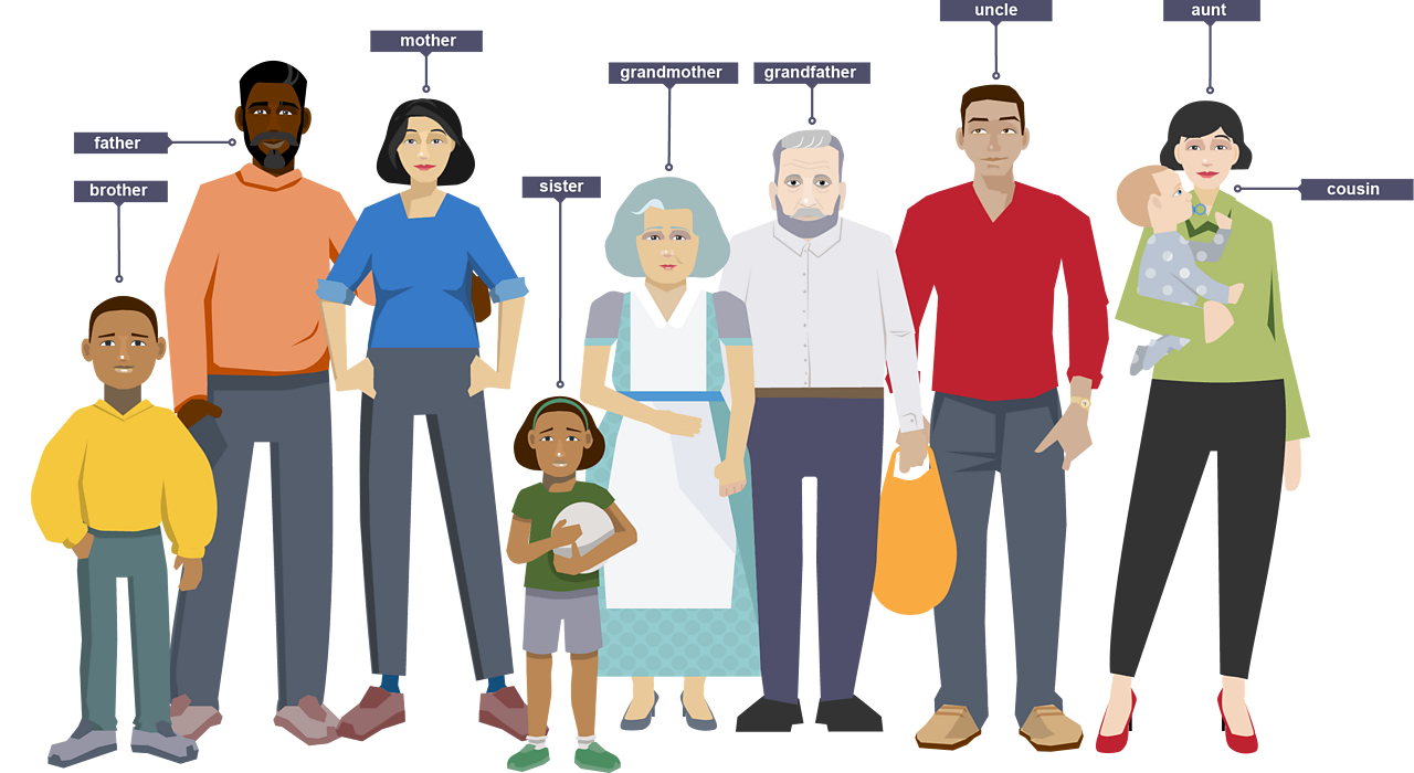 My family - BBC Bitesize